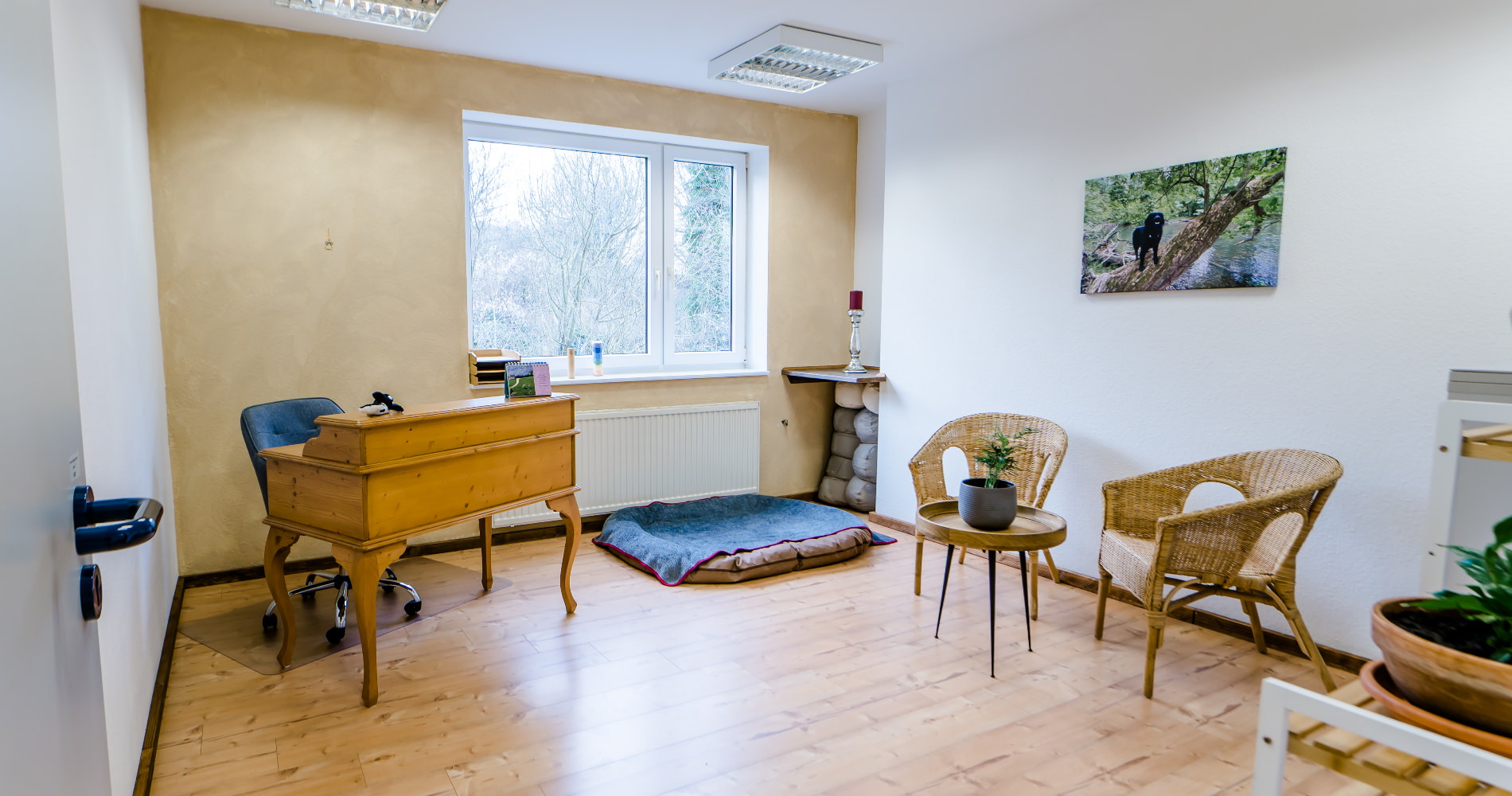 Sandy Poth - Ihre Praxis für systemische Therapie, traumazentrierte ...